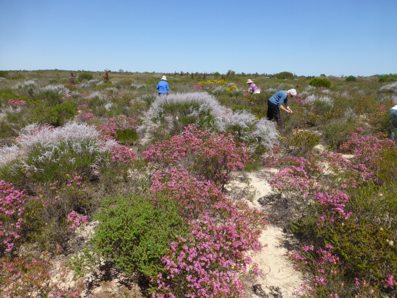 Senior Tours Perth - Aussie Redback Tours WA
