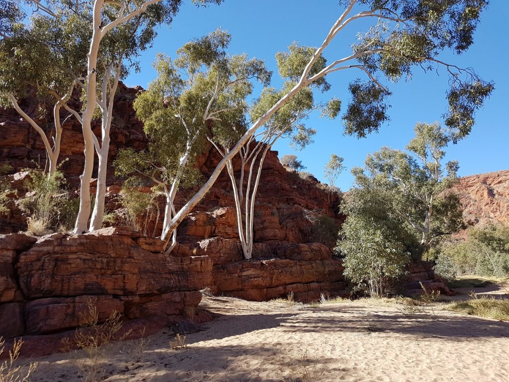 Trephina Gorge - Aussie Redback Tours