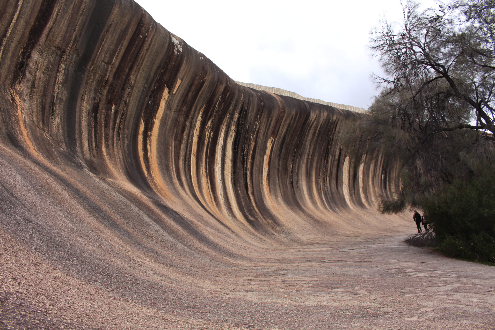 Senior Tours Perth - Aussie Redback Tours WA