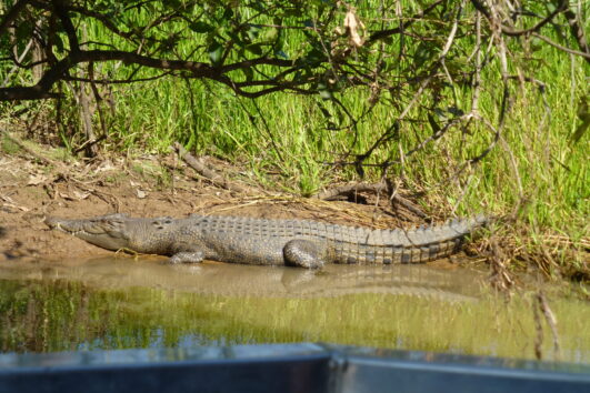 Senior Tours Perth - Aussie Redback Tours WA